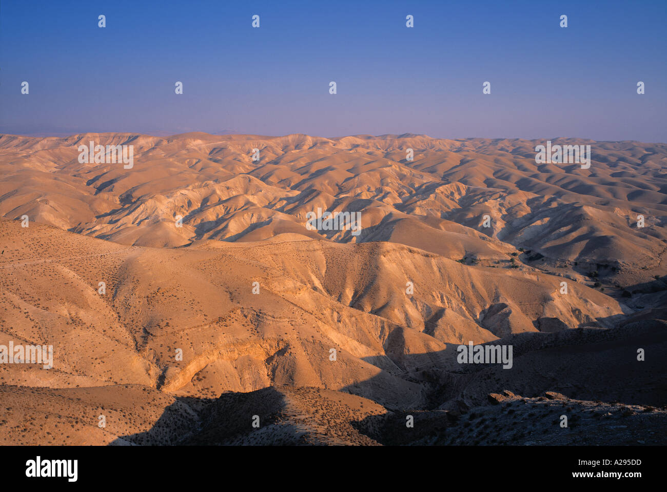 Judean Desert, Israel Stock Photo - Alamy