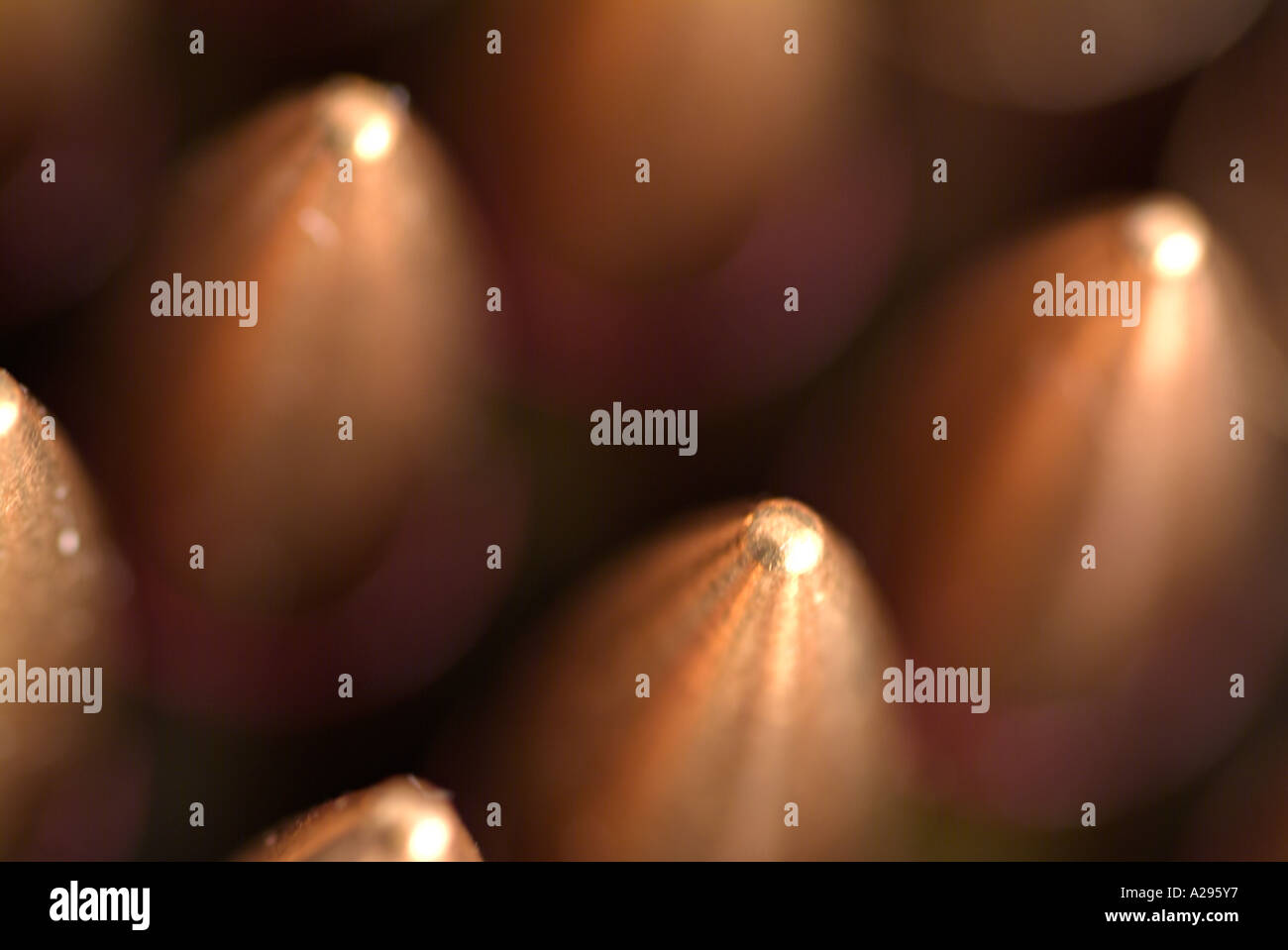 Bullets, Close Up Stock Photo - Alamy