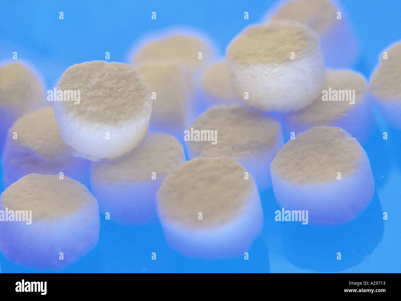 Complementary backgrounds hi-res stock photography and images - Alamy