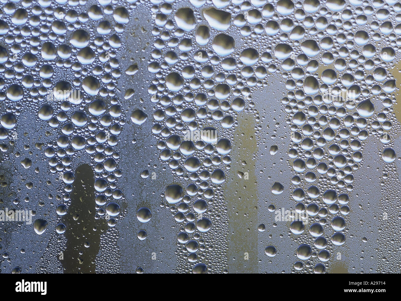 Condensation On Window