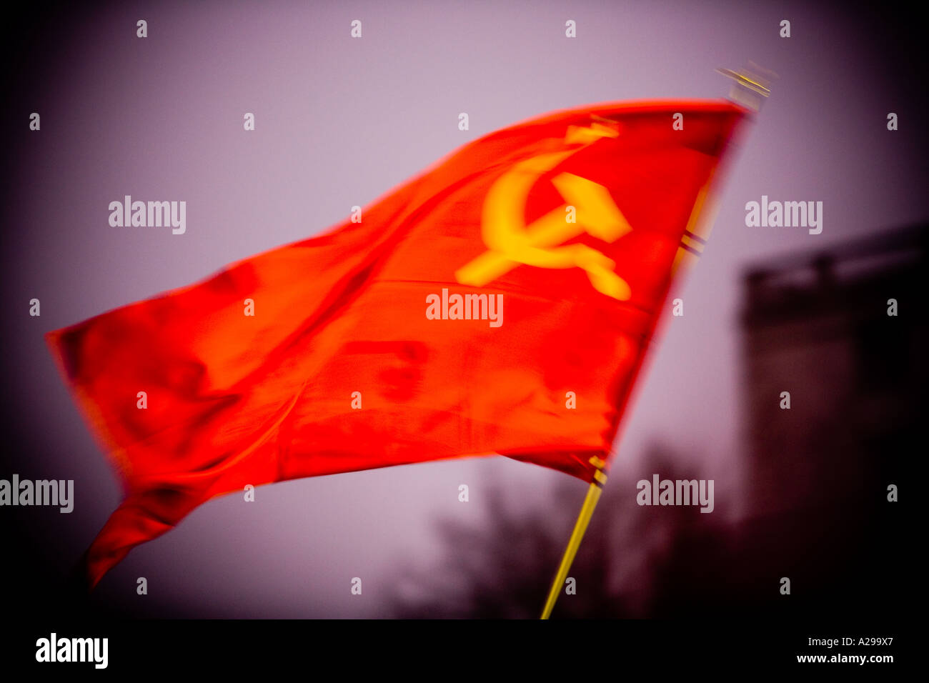 Red flags - Trafalgar Square, London Russian Festival Stock Photo - Alamy