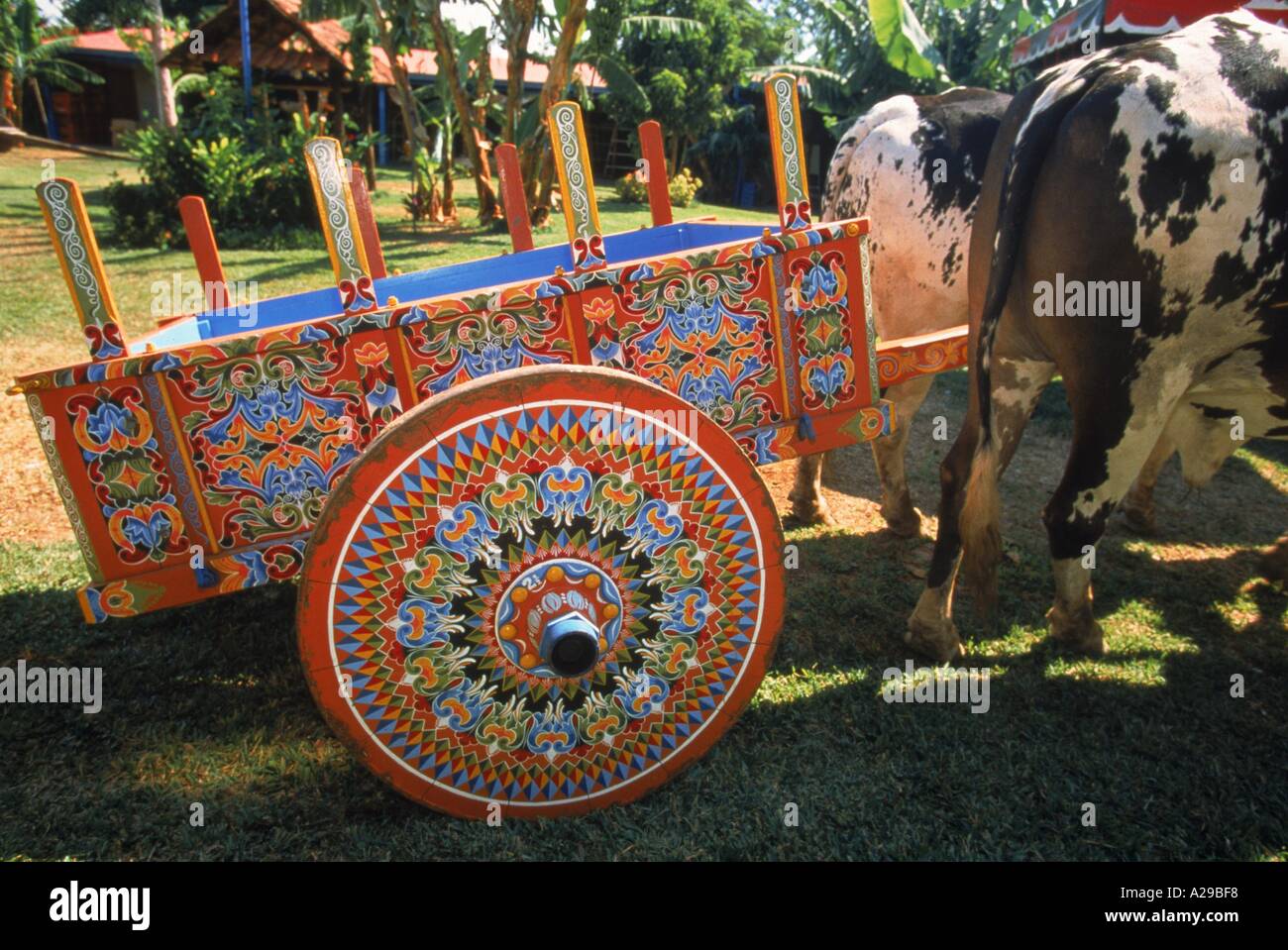 Ox carts costa rica hi-res stock photography and images - Alamy