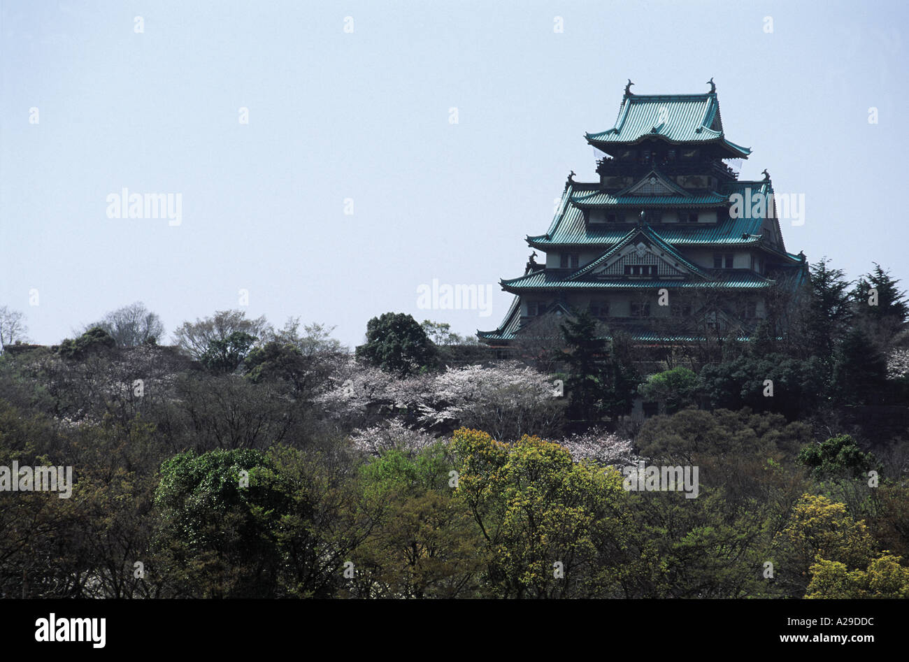 Japan shogun hi-res stock photography and images - Alamy