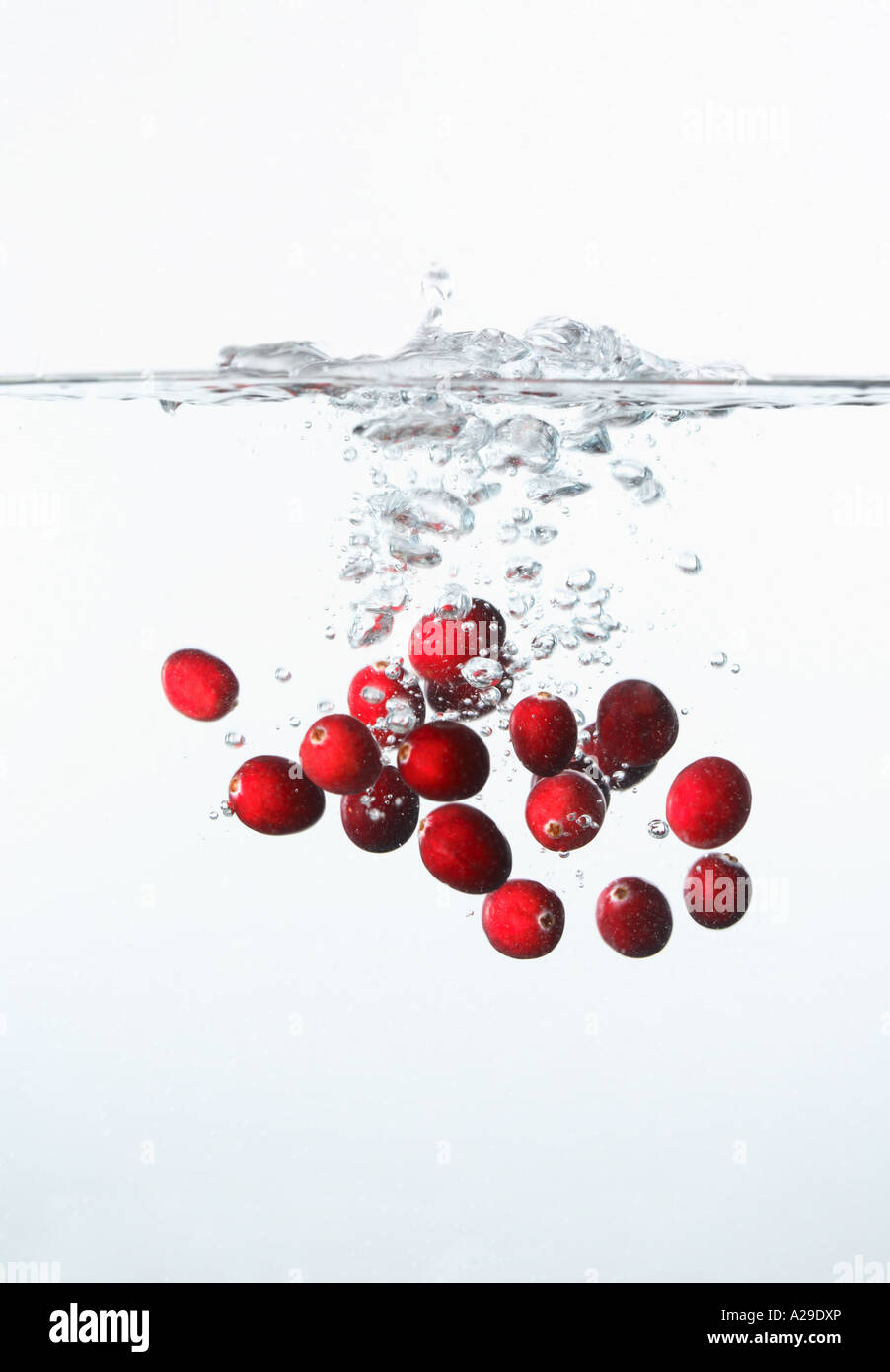 Red cranberries splashing water hi-res stock photography and images - Alamy