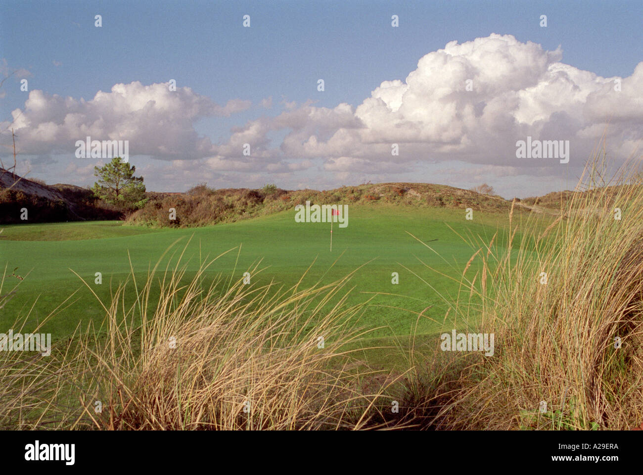 French Links style Golf Course, photographed in the Autumn with the ...
