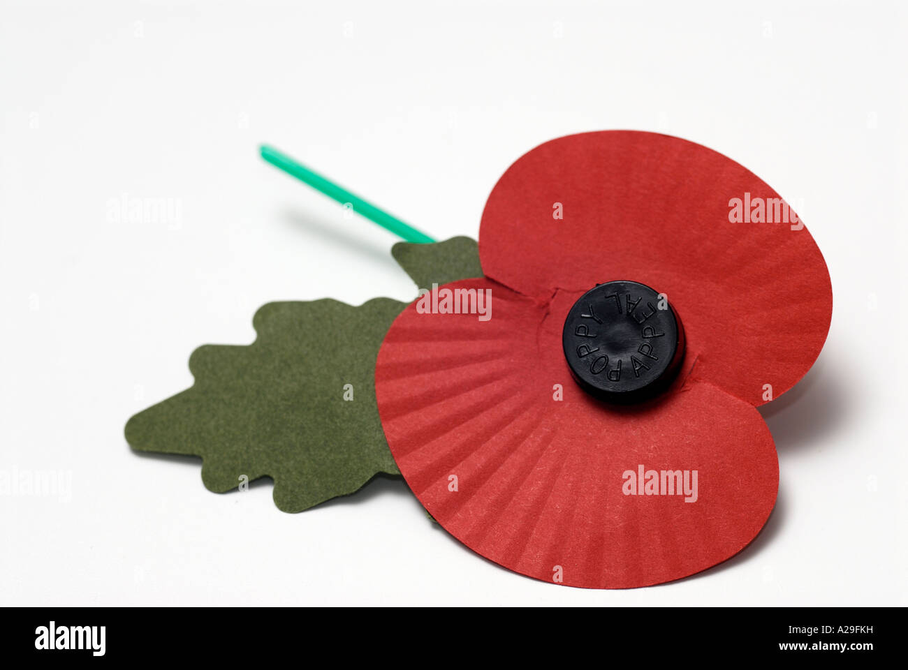 Remembrance day poppy hi-res stock photography and images - Alamy
