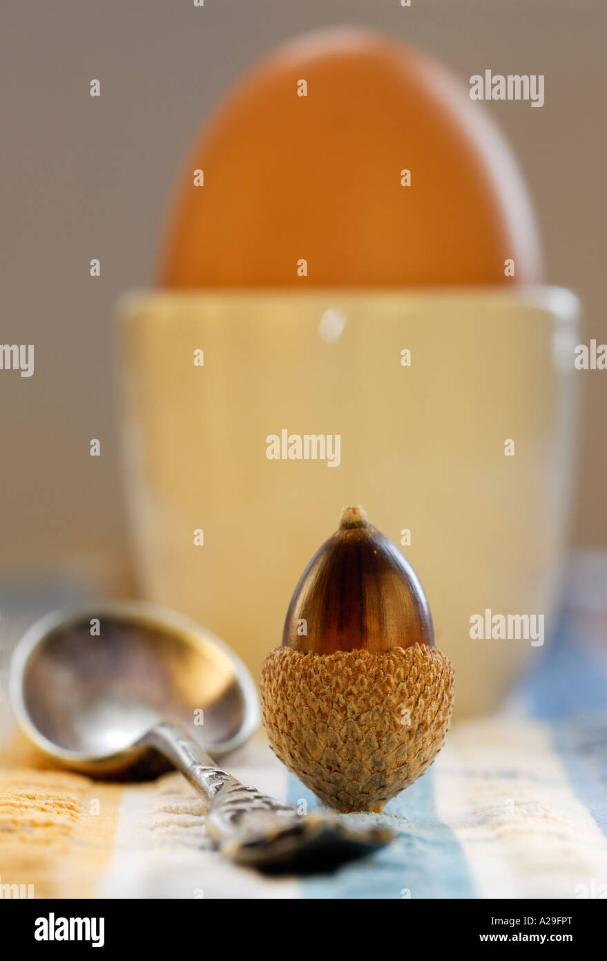 Visual humor hi-res stock photography and images - Alamy