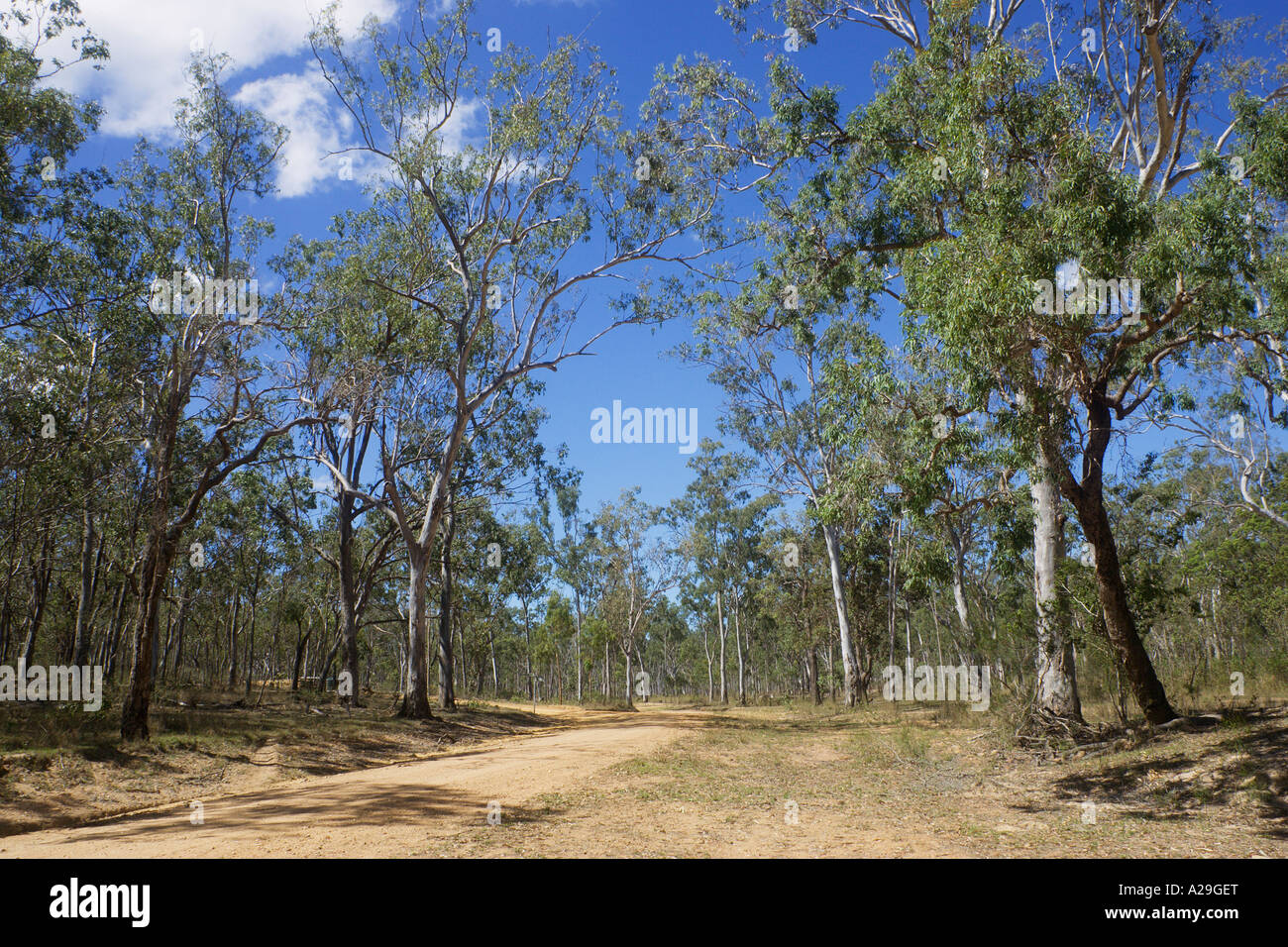 Unsealed dirt road in Australian outback Stock Photo - Alamy