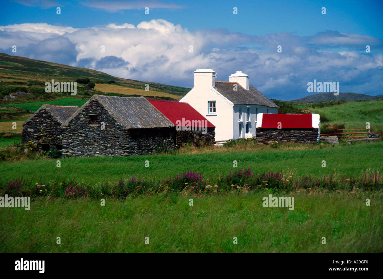 Irish Farmhouse West Cork Ireland Stock Photo - Alamy