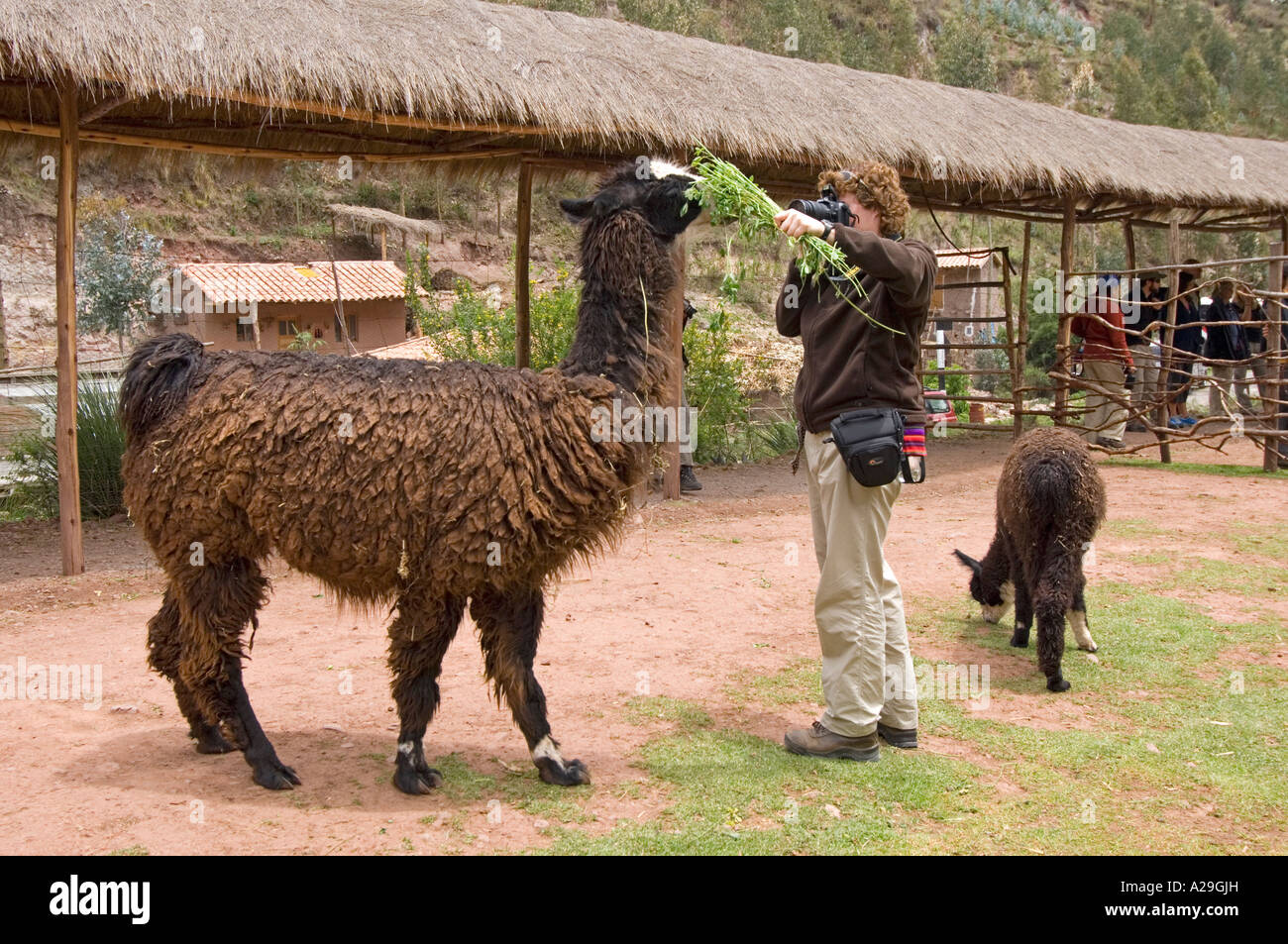 Chaku hi-res stock photography and images - Alamy