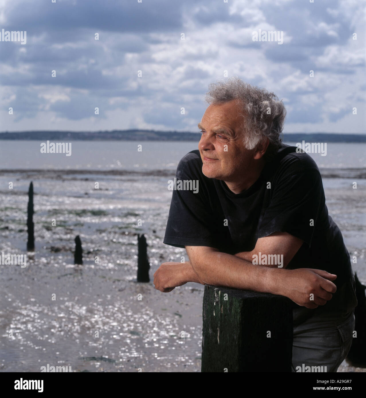 artist steve turner how plan to live on the Redsand Towers an offshore ...