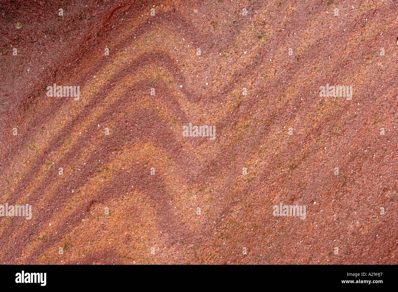 Patterns in Lower Old Red Sandstone Stock Photo - Alamy