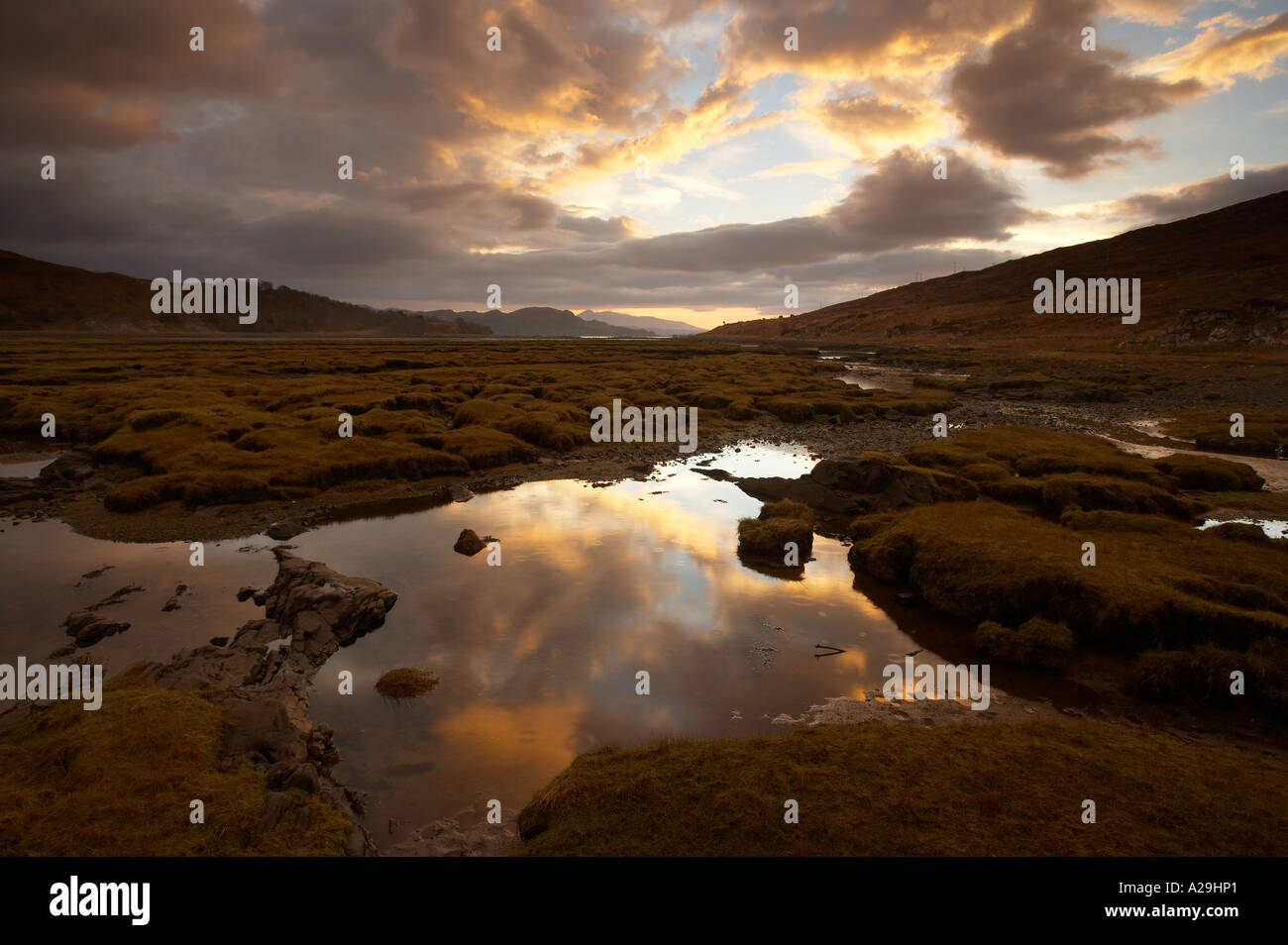 Salt marsh during low tide Stock Photo - Alamy