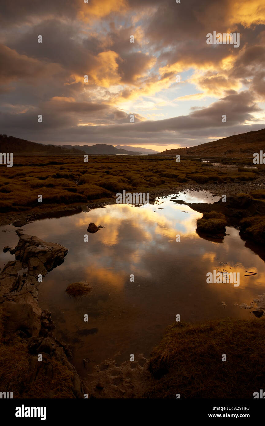 Salt marsh during low tide Stock Photo - Alamy