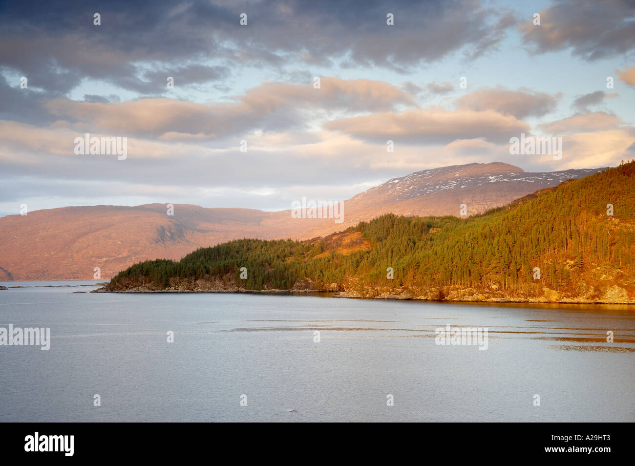 Hillsforest hi-res stock photography and images - Alamy