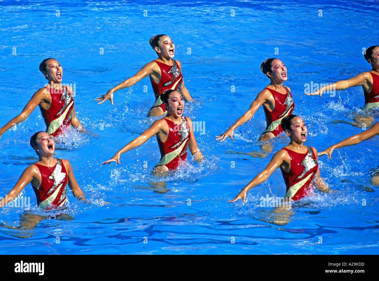 The Japanese female synchronized swimming team treading water Stock ...