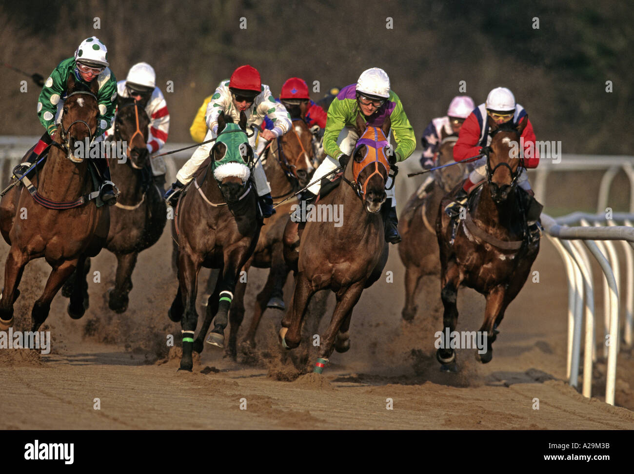 Wolverhampton racecourse hi-res stock photography and images - Alamy