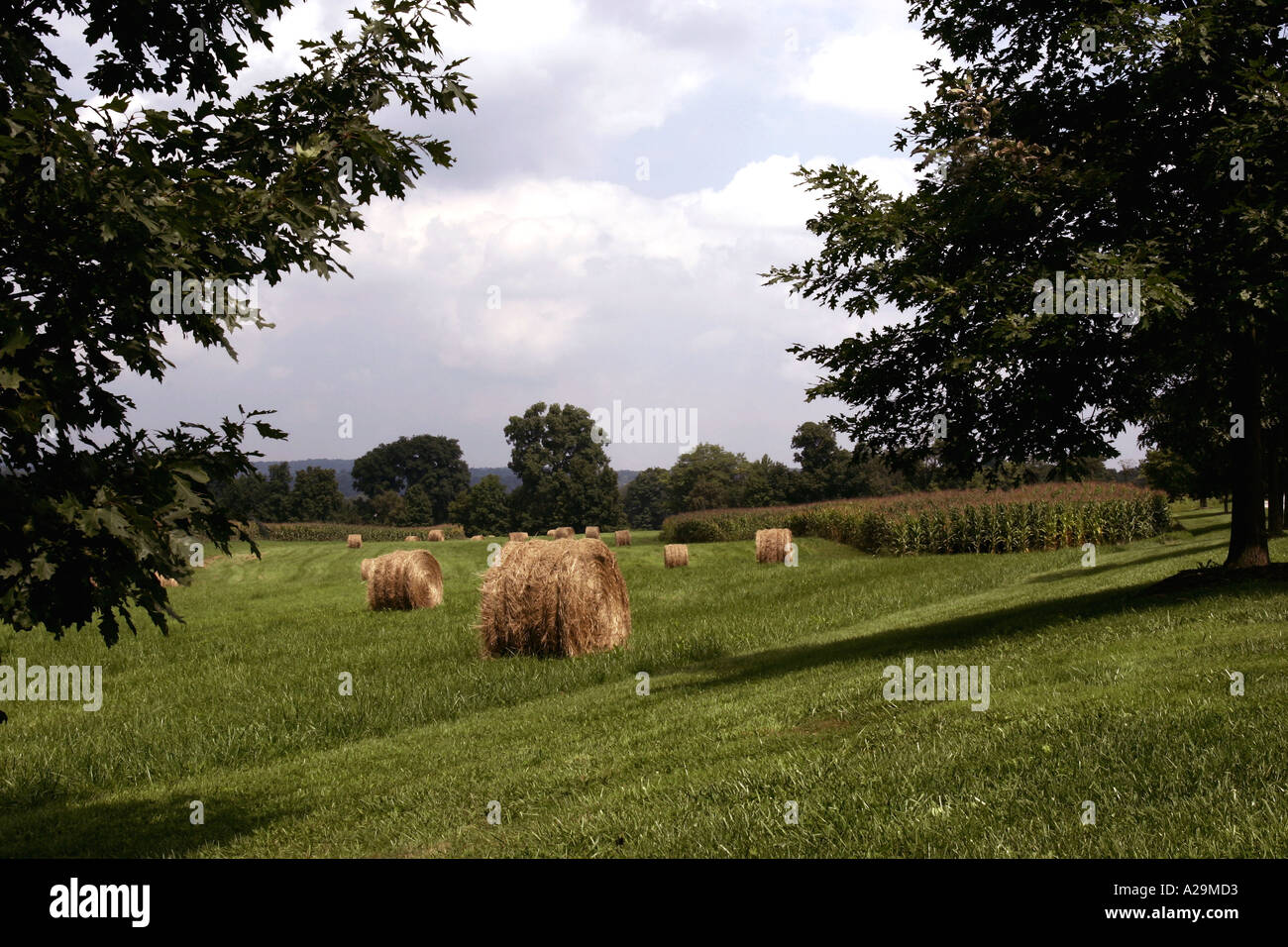 Springton hi-res stock photography and images - Alamy