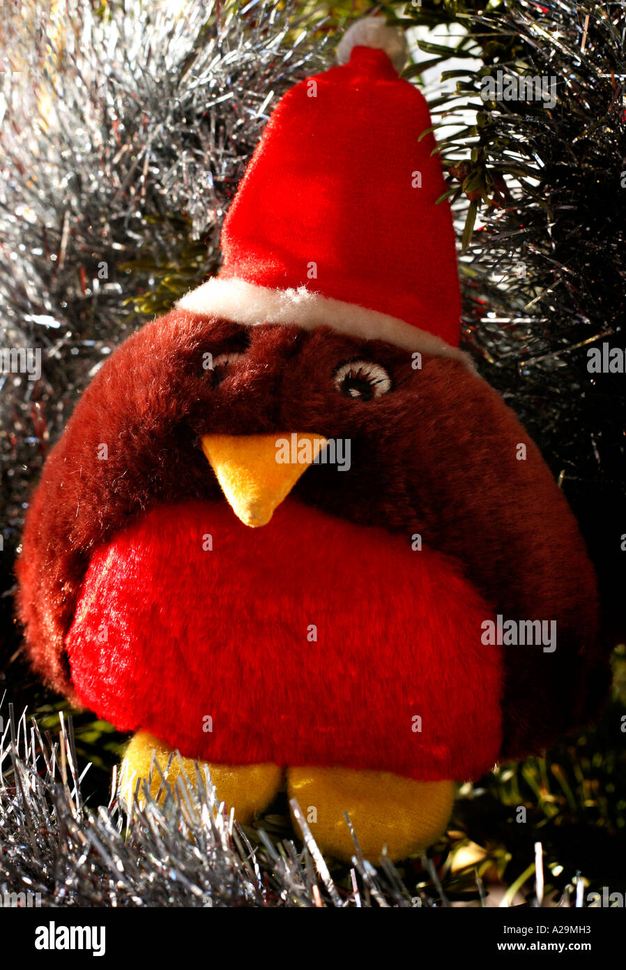 Christmas robin hi-res stock photography and images - Alamy