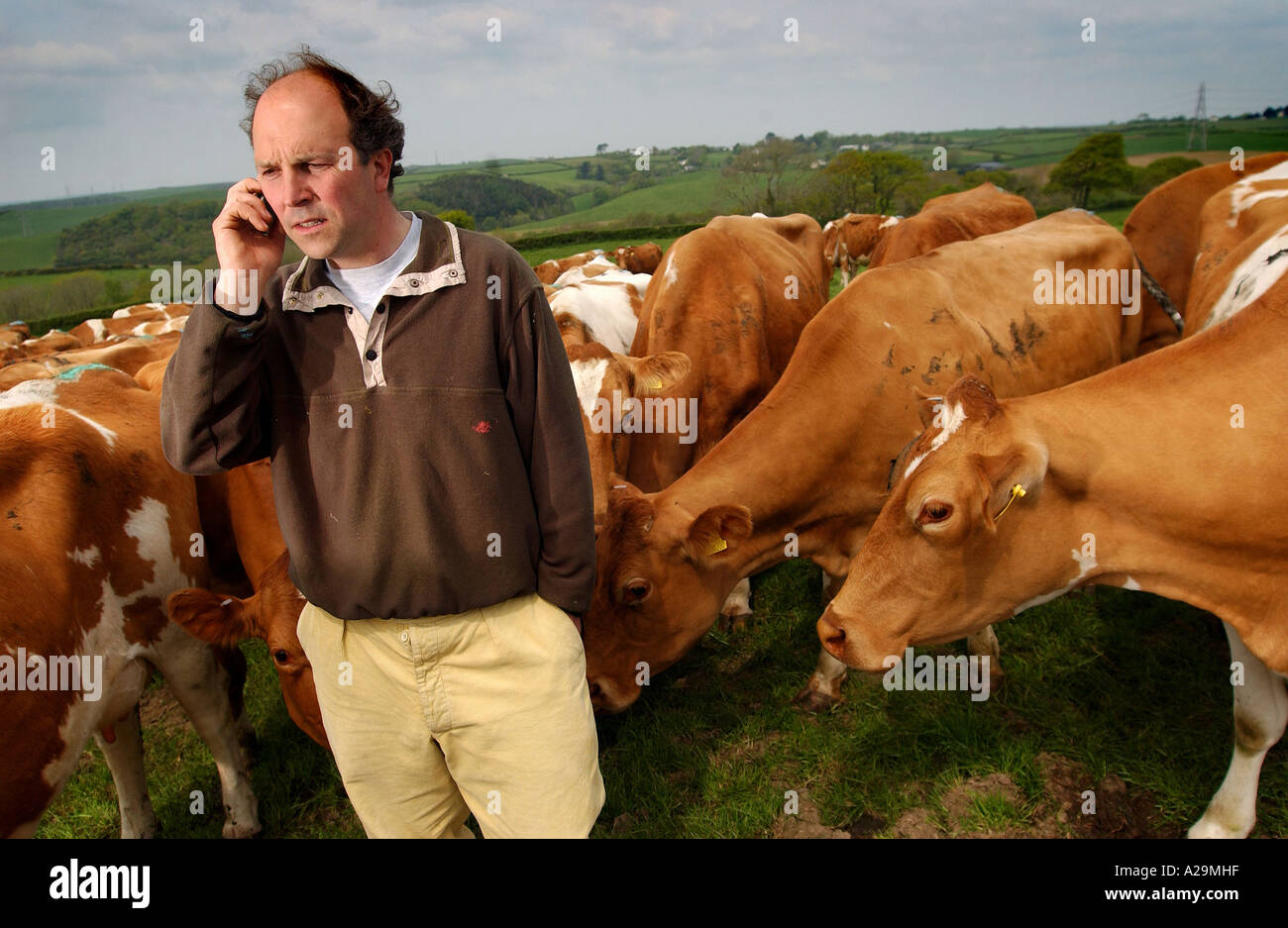 Farmer mobile phone signal hi-res stock photography and images - Alamy