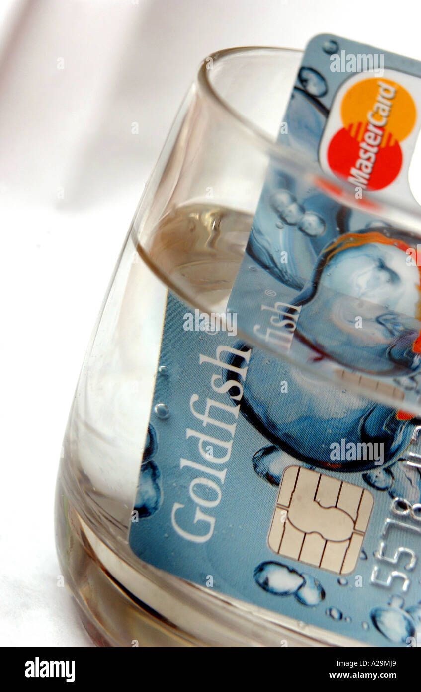 generic goldfish credit card picture Stock Photo - Alamy