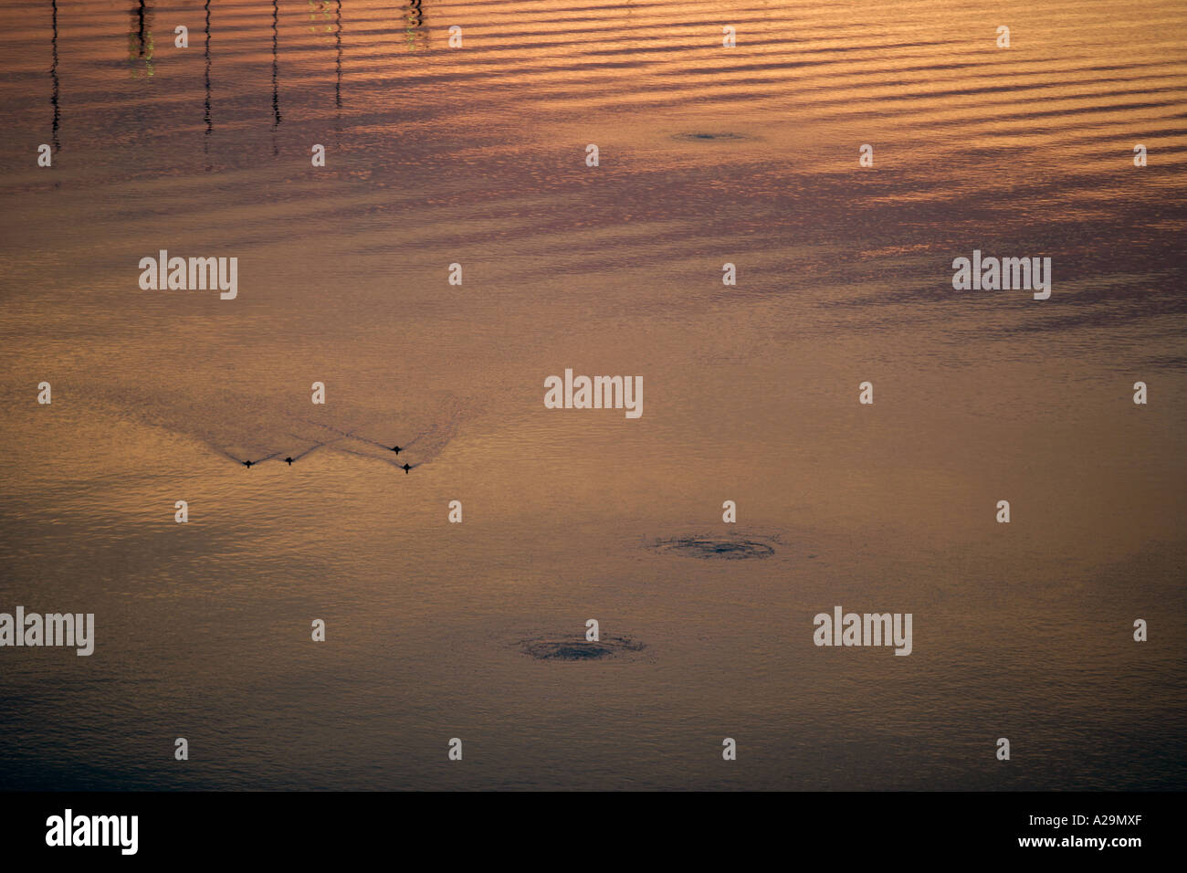Aerators Operating in Water Cardiff Bay at Sunrise South Wales Stock ...