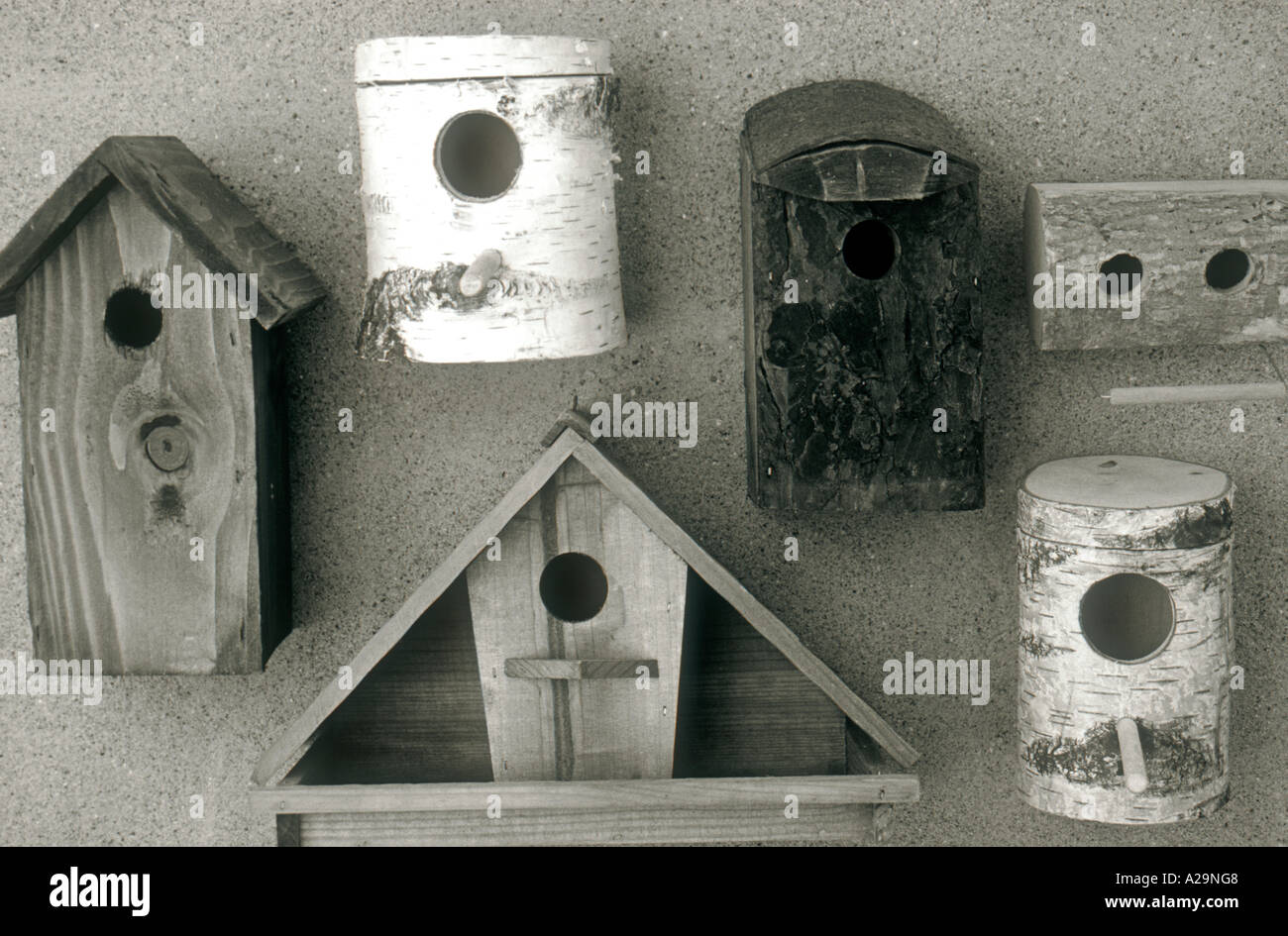 Nests of garden birds hi-res stock photography and images - Alamy