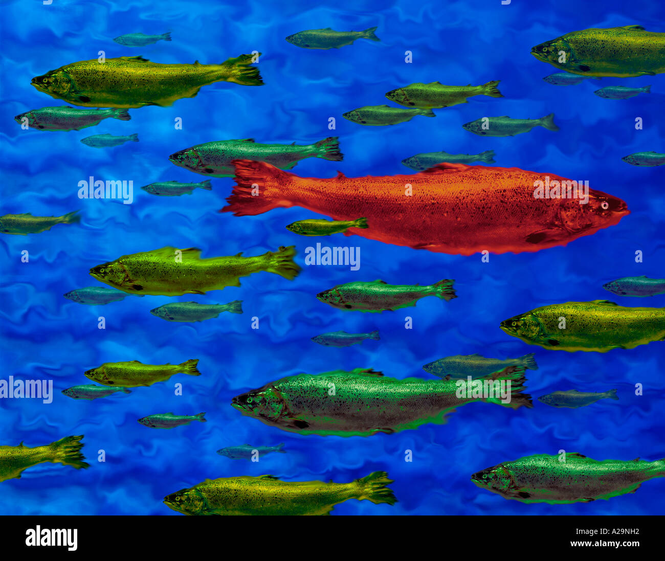 Opposite direction hi-res stock photography and images - Alamy