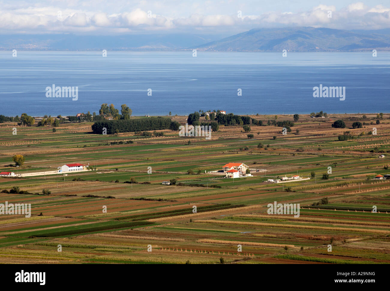 Fields by Lake Ohrid, near Pogradeci. Albania, Europe Stock Photo - Alamy