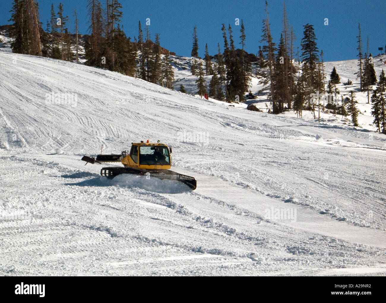 Cat tracks in snow hi-res stock photography and images - Alamy