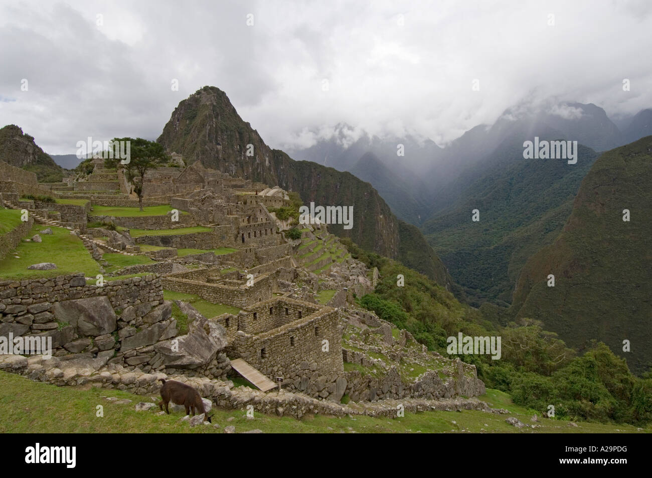A view of the magnificent ancient Inca site of Machu Picchu in Peru ...