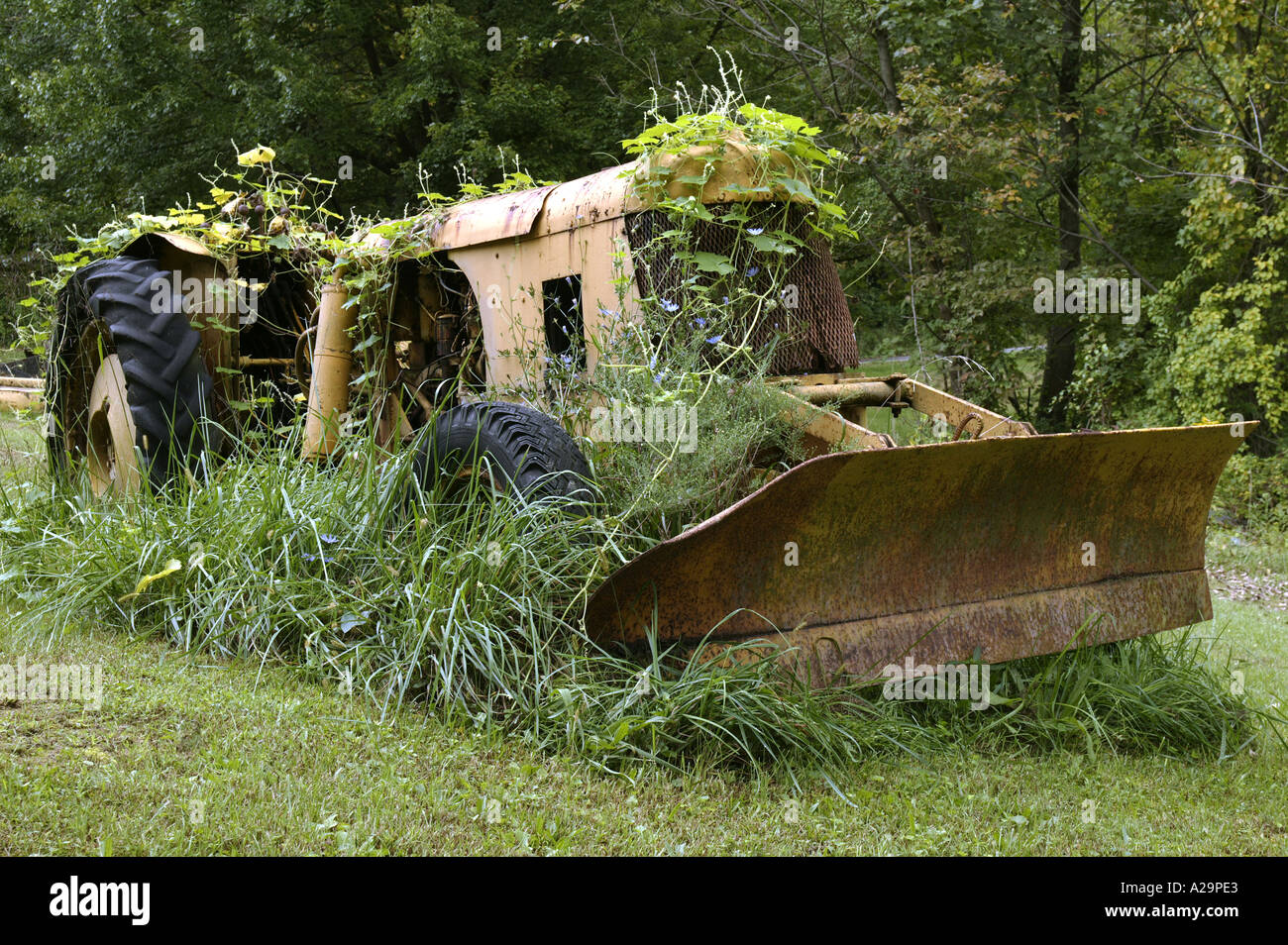 1946 Antique Tractor Stock Photo - Alamy