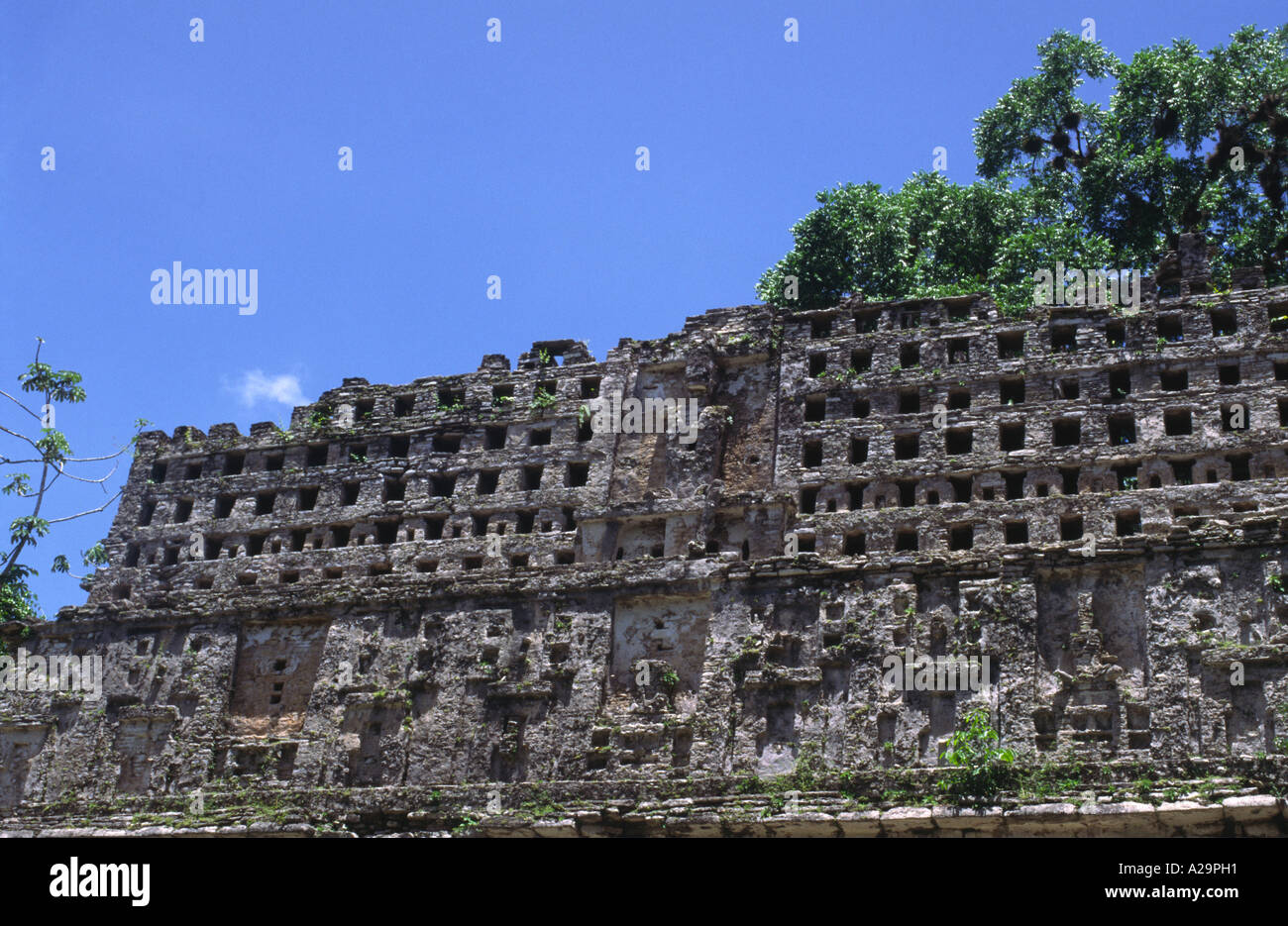 Intricate roof comb on top of one of the Mayan temples at Yaxchilan ...
