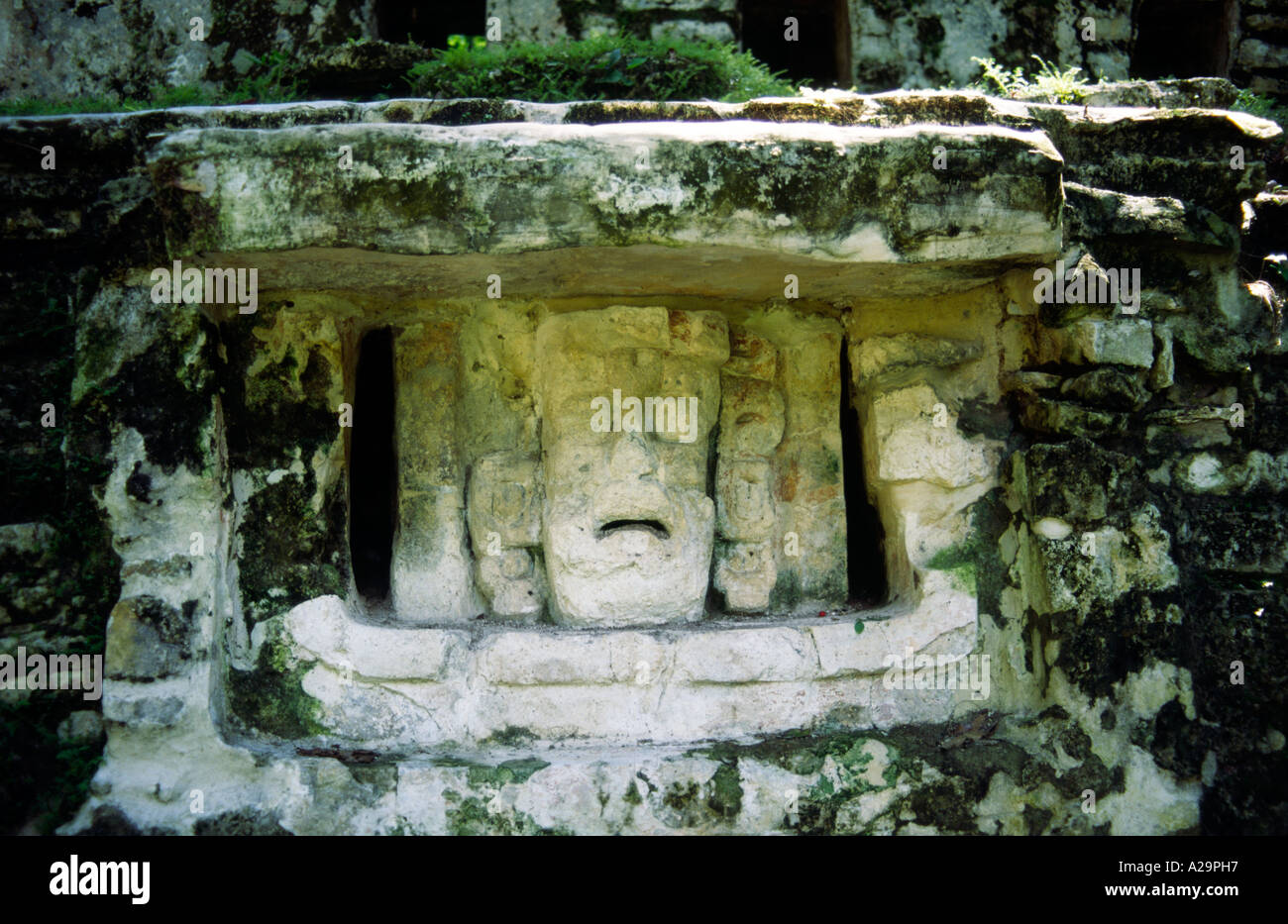 Detail from the Mayan complex of ruins at Yaxchilan in Chiapas Mexico ...