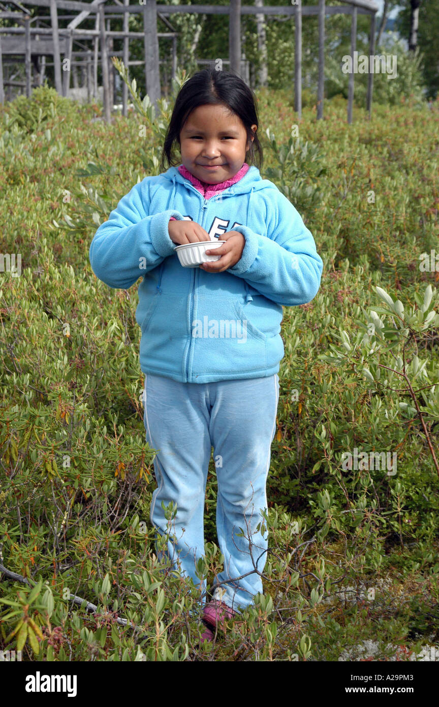 Native Cree girl picking wild berries Northern Quebec next to James Bay ...