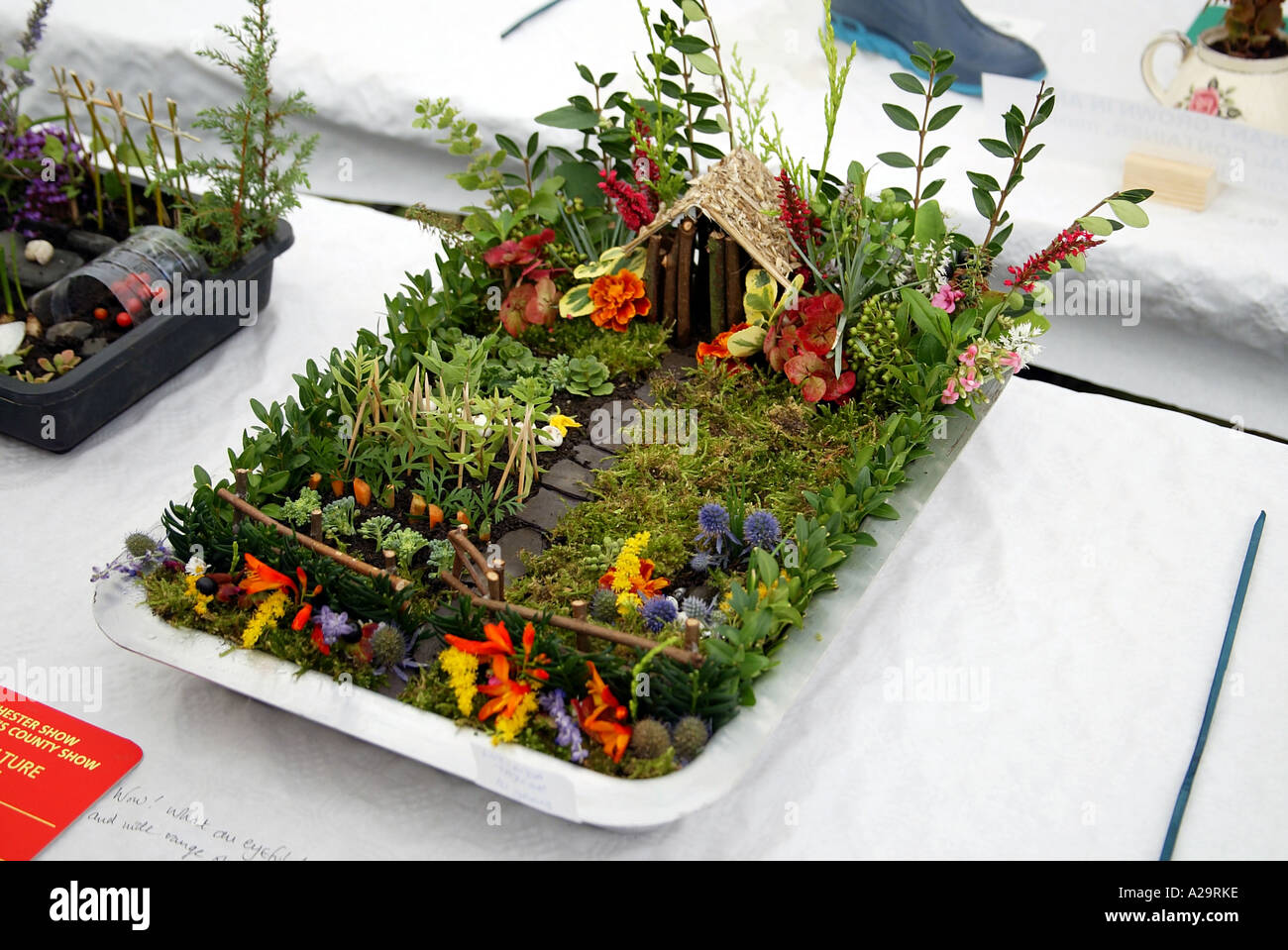 Miniature garden hi-res stock photography and images - Alamy