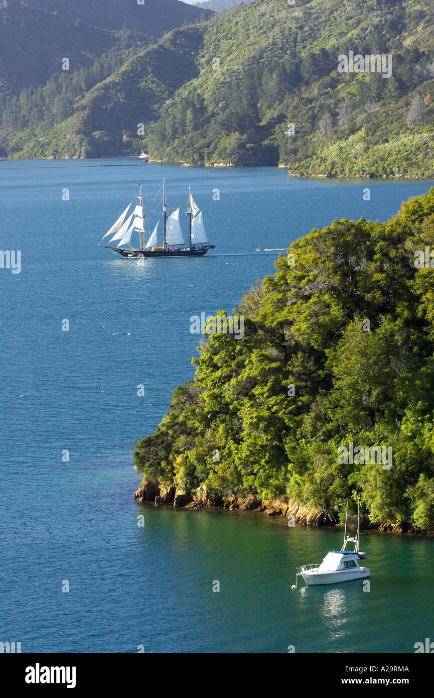 Spirit of New Zealand Tall Ship Grove Arm Marlborough Sounds South ...
