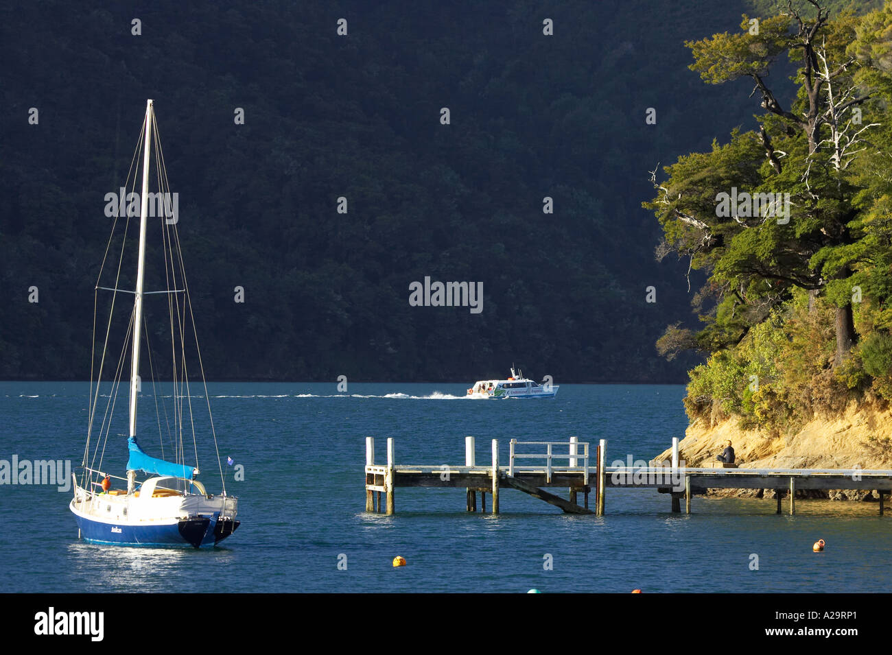Momorangi Bay Grove Arm Marlborough Sounds South Island New Zealand ...