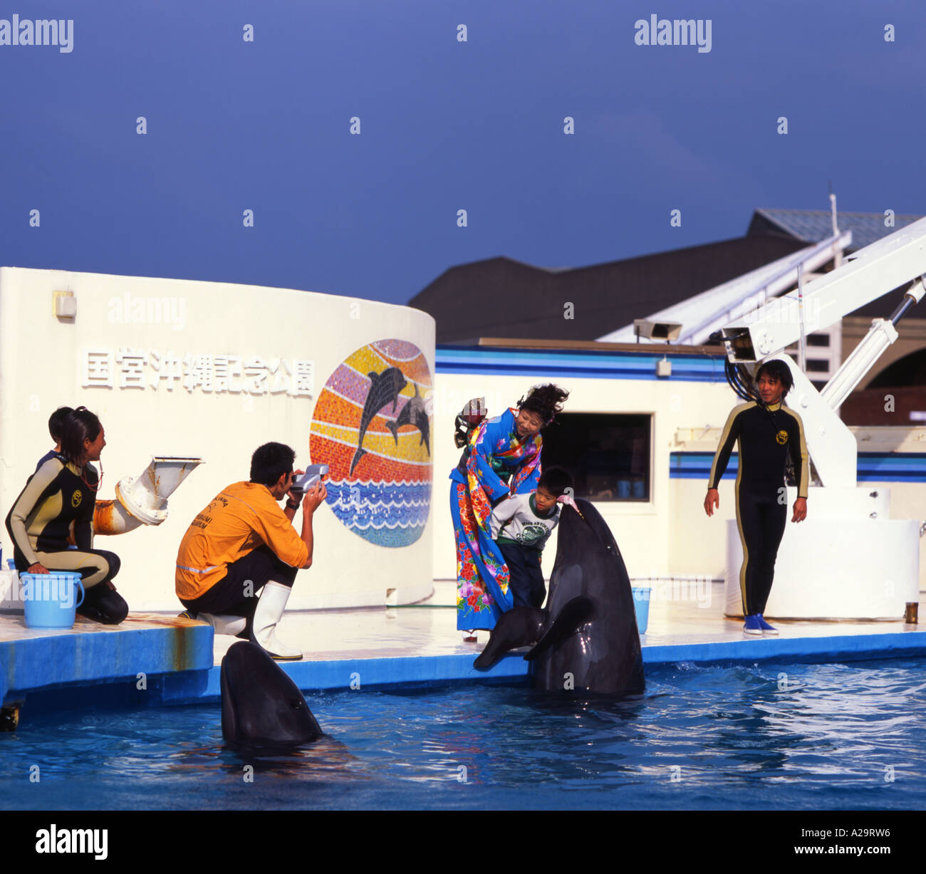 Dolphin show at churaumi aquarium hi-res stock photography and images ...