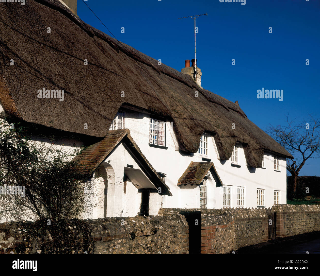 Whitewashed thatched cottages in Dorset Stock Photo - Alamy