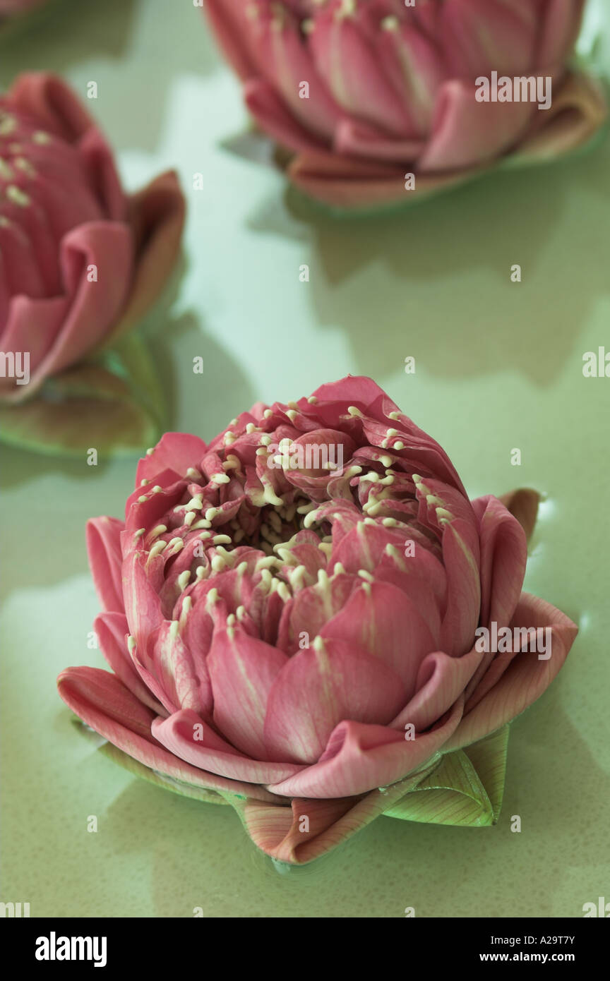 spa flowers decoration Stock Photo - Alamy