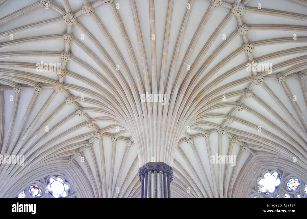 The central column and ceiling of the Chapter house Wells cathedral The ...
