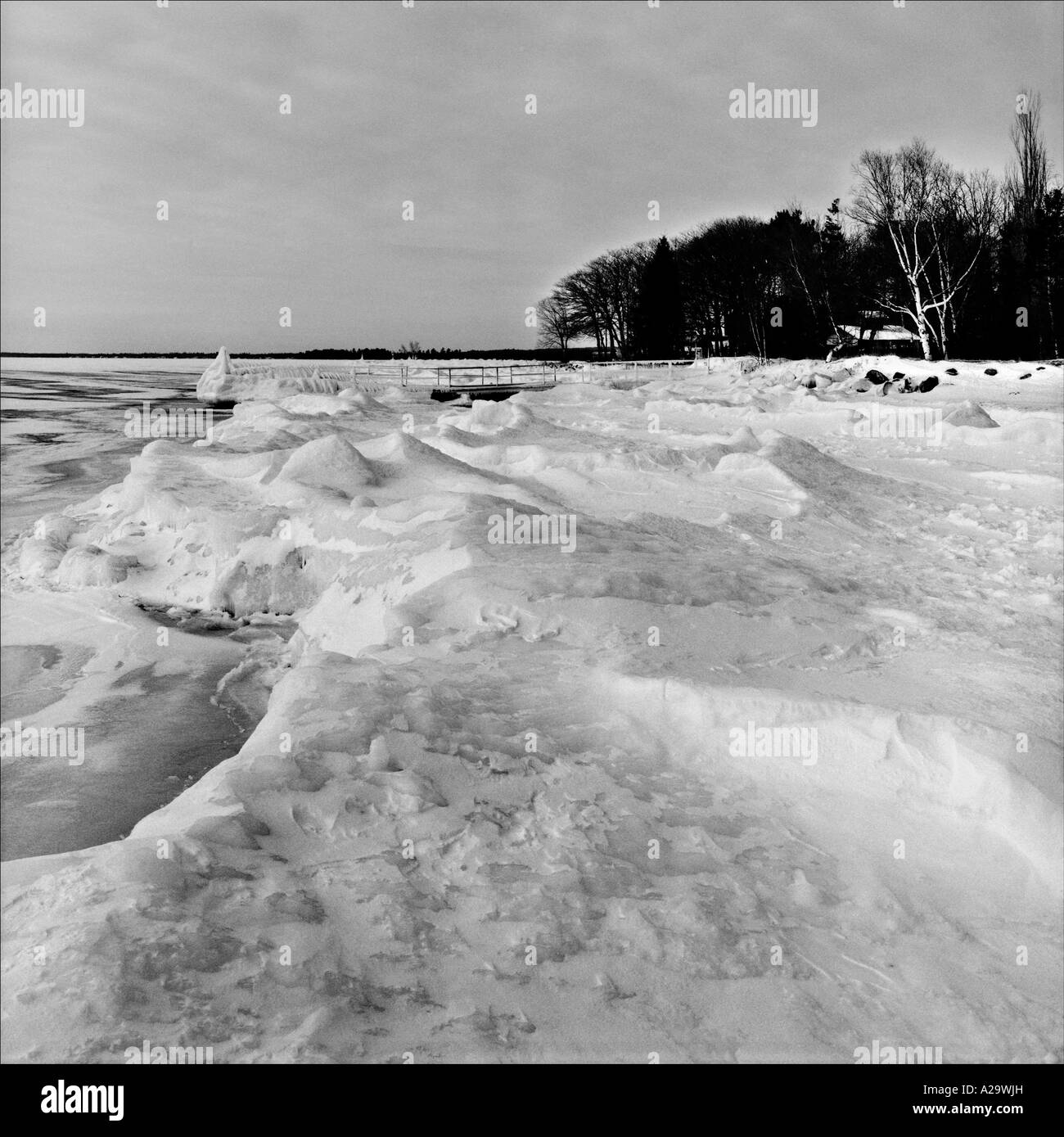 River and lake with ice and snow between trees hi-res stock photography ...