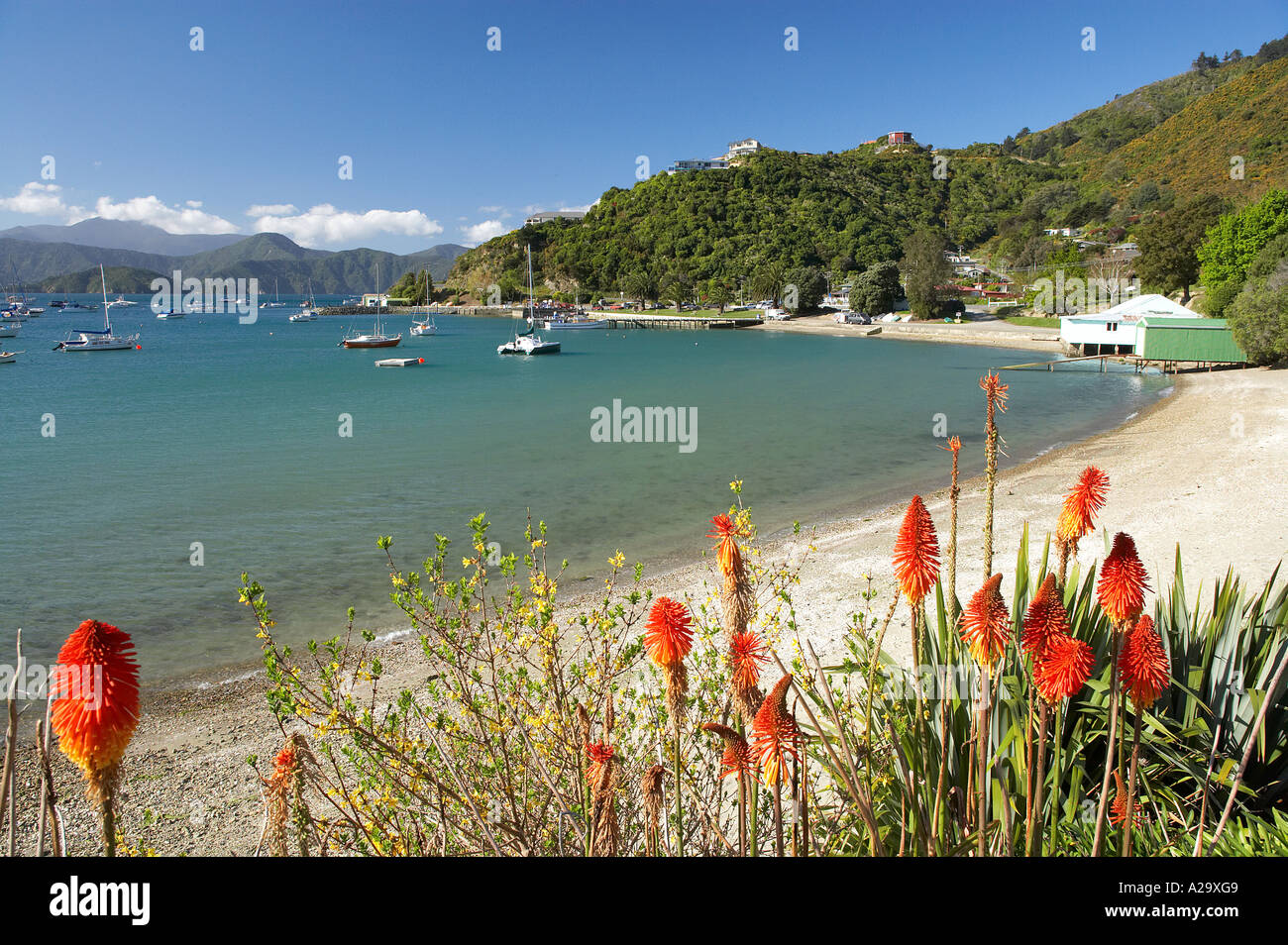 Waikawa Bay near Picton Marlborough Sounds South Island New Zealand ...