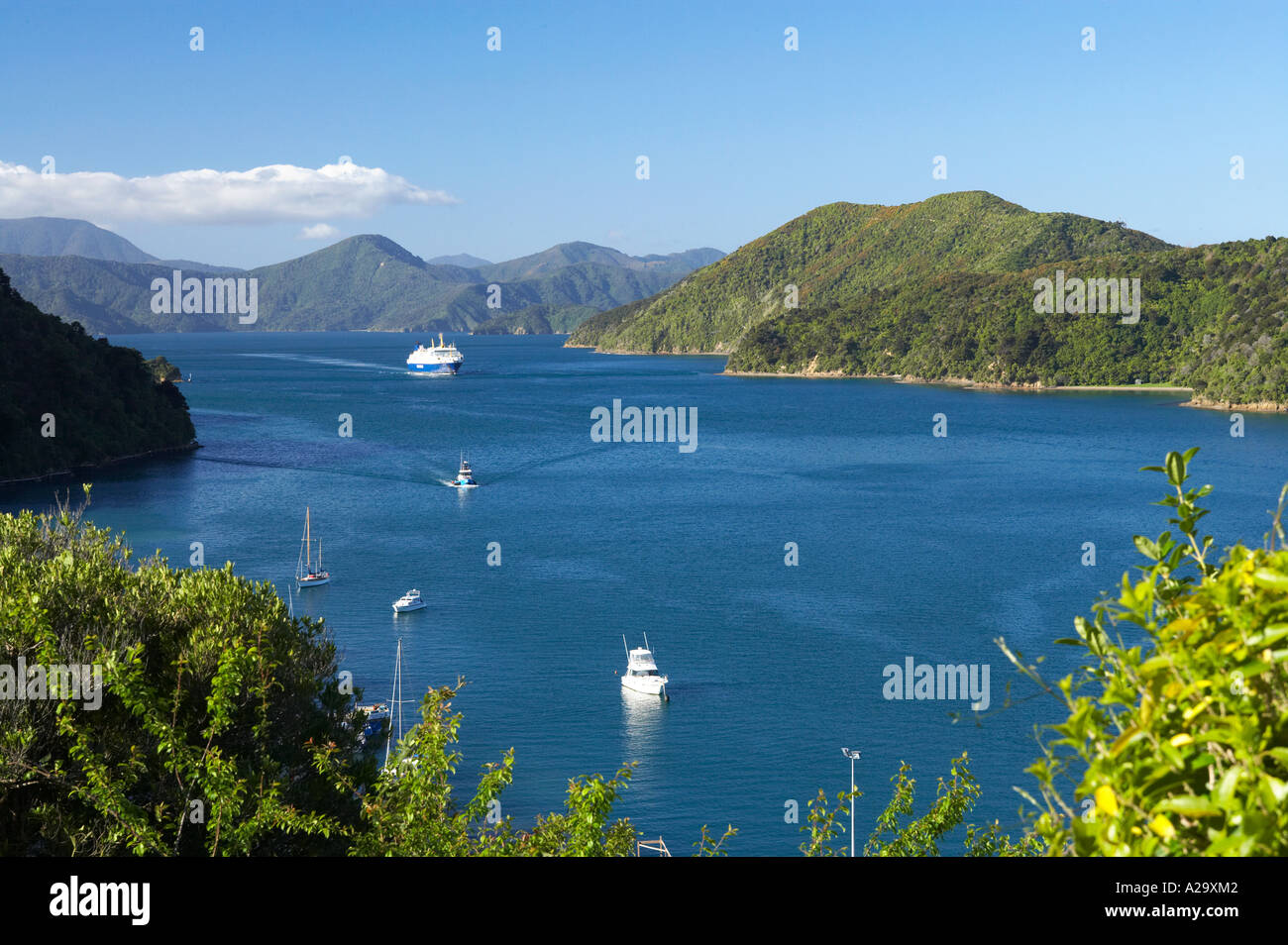 Picton Harbour Marlborough Sounds South Island New Zealand Stock Photo ...