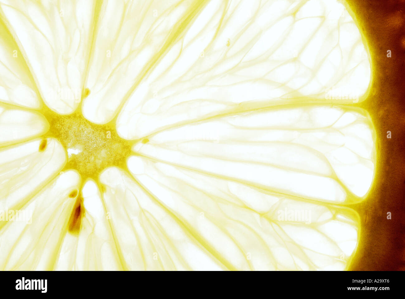 Translucent ripeness hi-res stock photography and images - Alamy