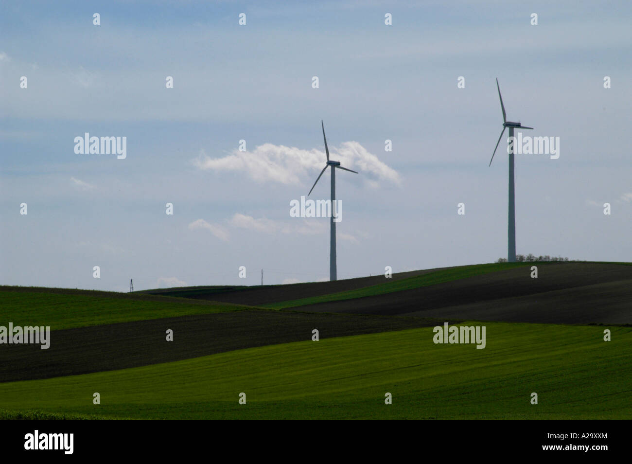 fields, fans, clean wind energy Stock Photo - Alamy