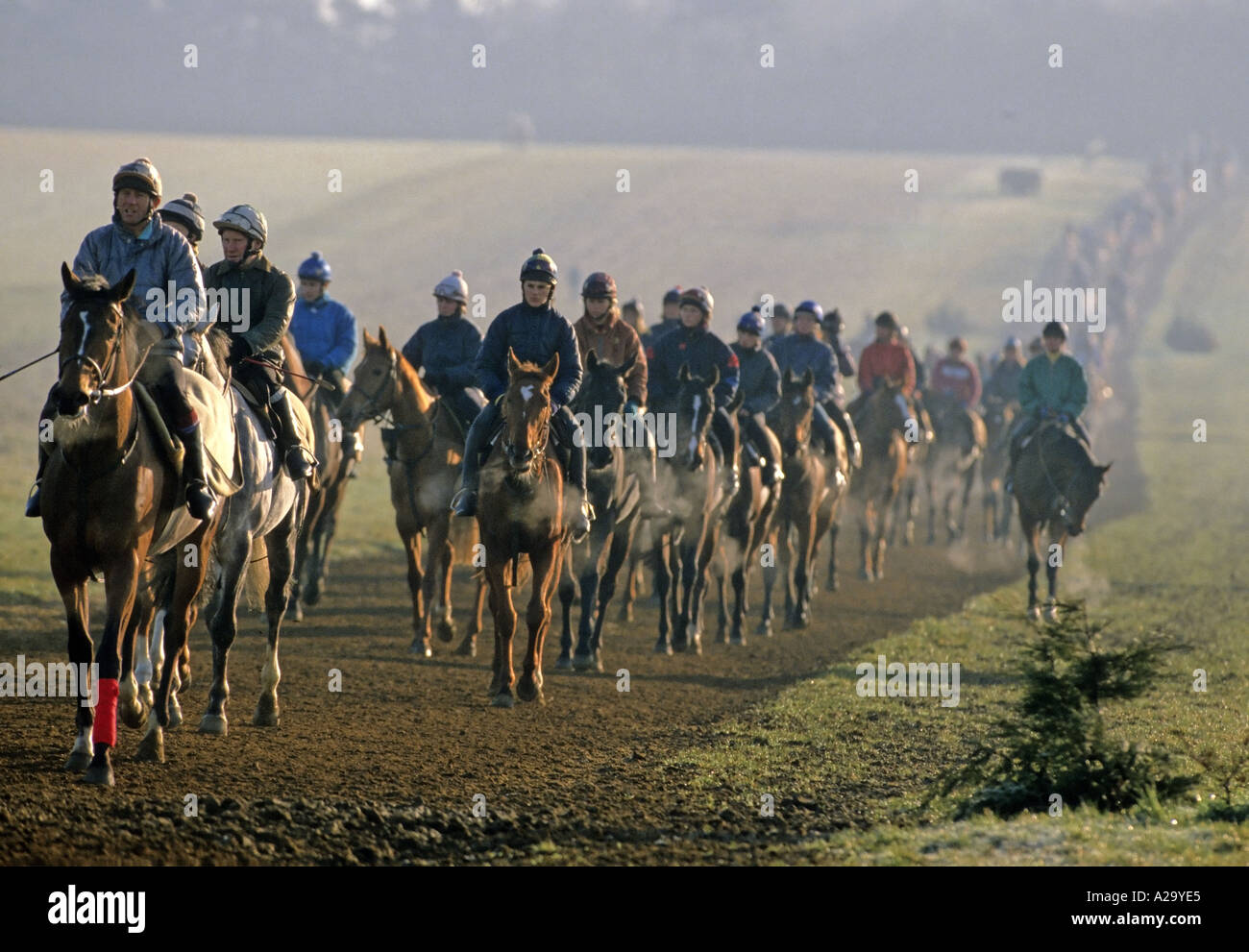 Early morning gallops hi-res stock photography and images - Alamy