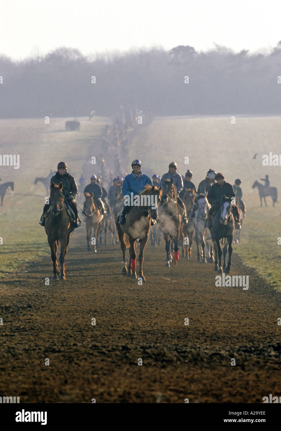 Training on the gallops hi-res stock photography and images - Alamy