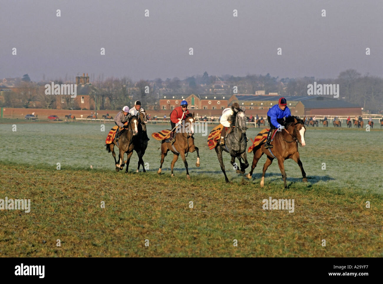 Horses on gallops in newmarket hi-res stock photography and images - Alamy